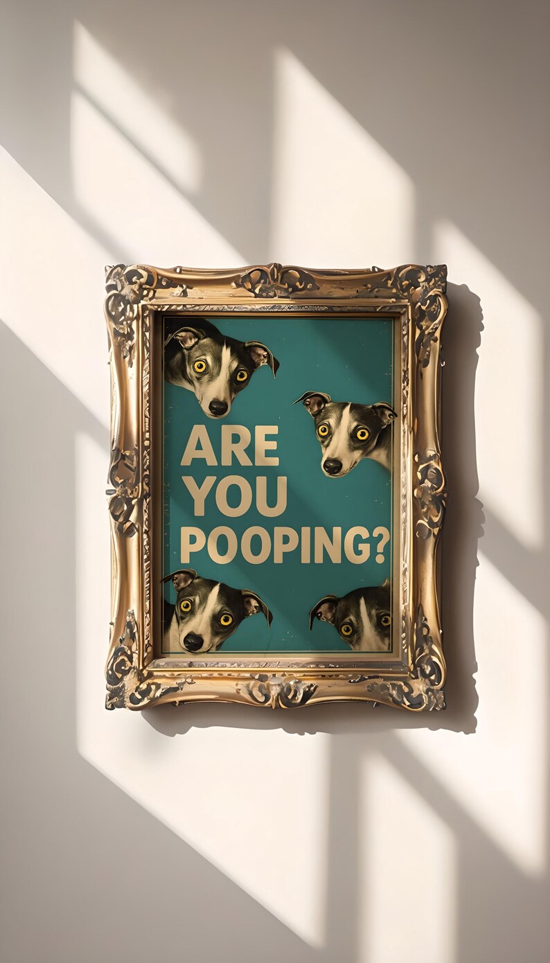 Are You Pooping Poster, Italian Greyhound Poster,italian Greyhound Wall ...