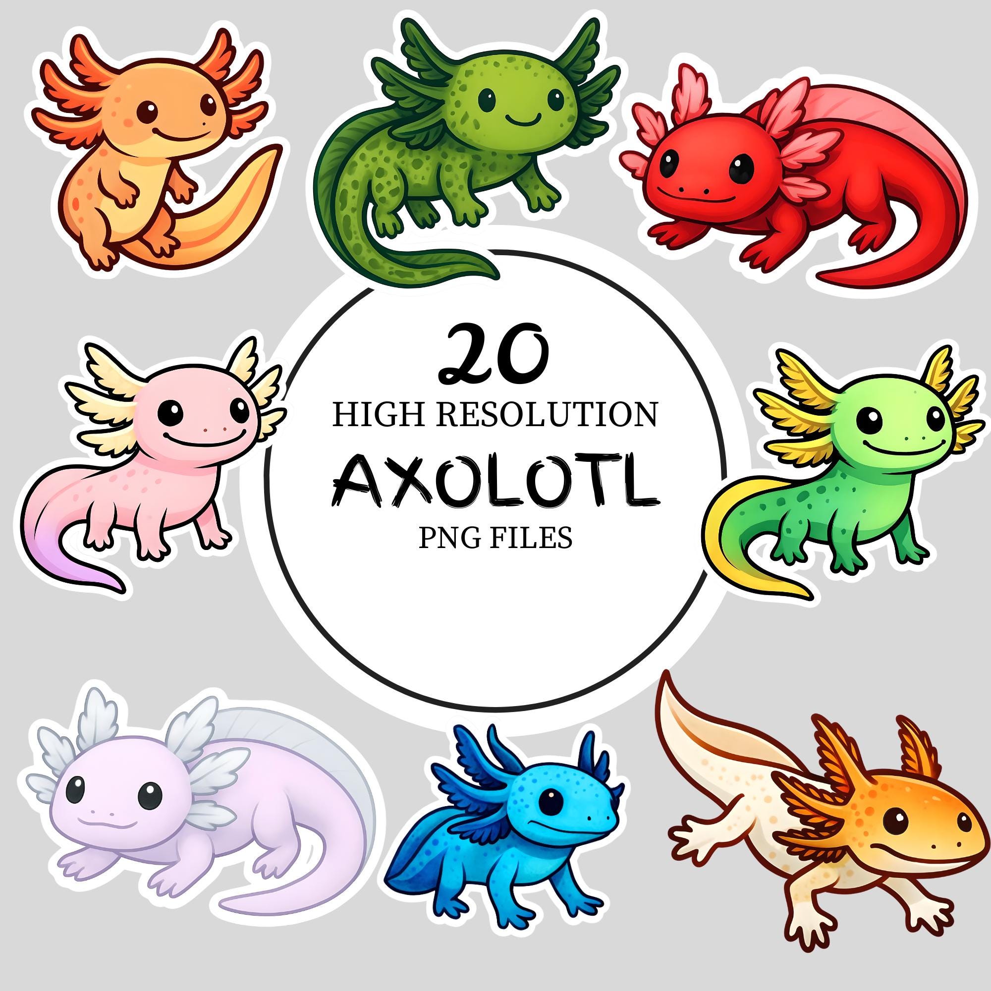 Axolotl PNG Files, Cute Axolotl Clipart, Baby Axolotl Art, Axolotl ...