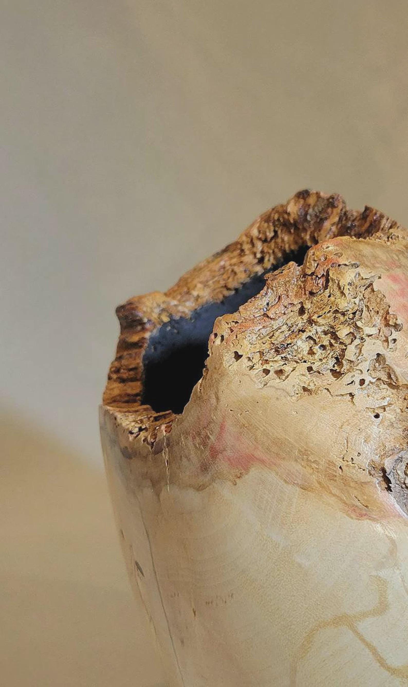 Flamed, Figured, Spalted Box Elder Wood Turning - Etsy
