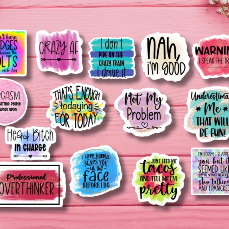 Snarky Stickers - Etsy