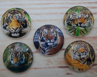 Wildlife magnets | Etsy