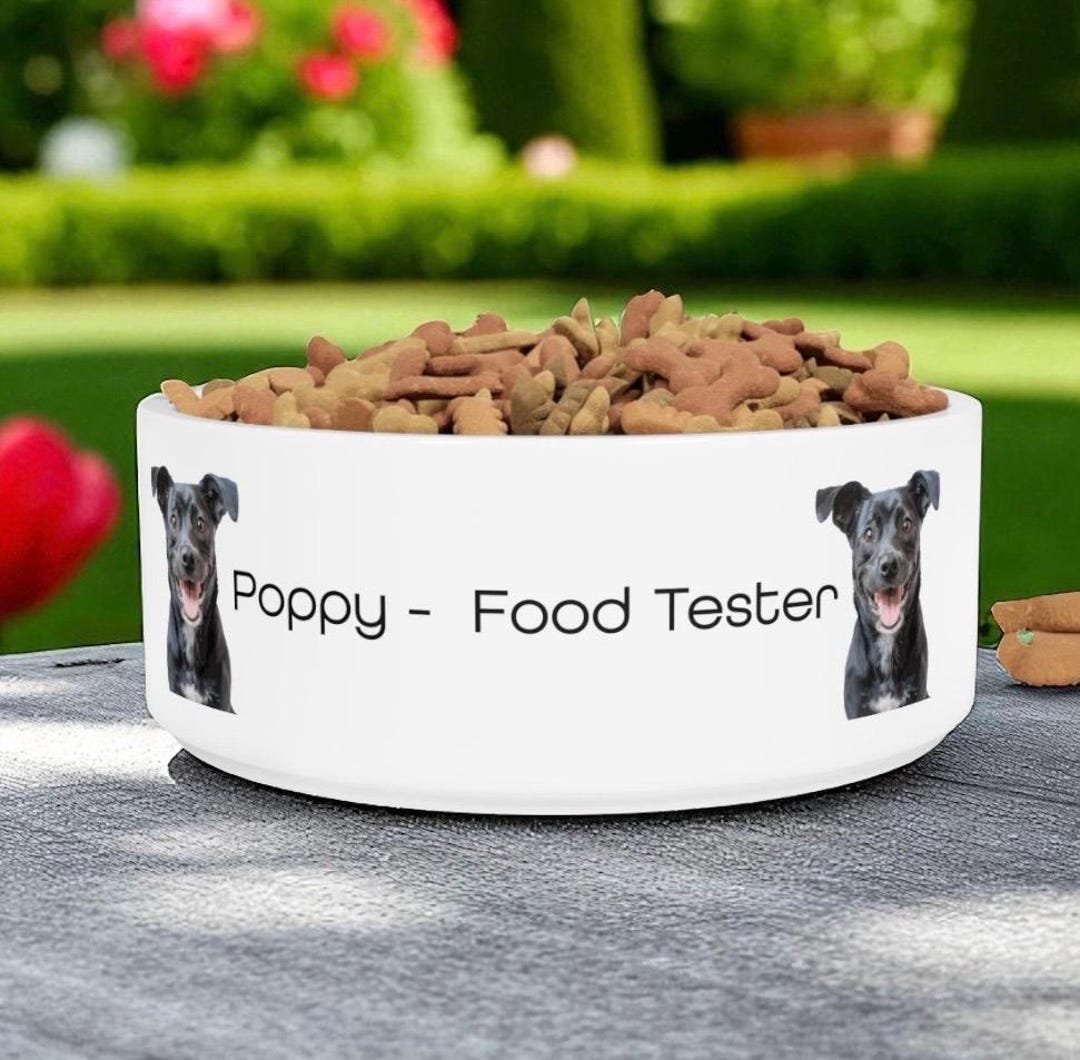 Dog Bowl Feeding Area Pet Space Saving Container Food Storage Solution ...