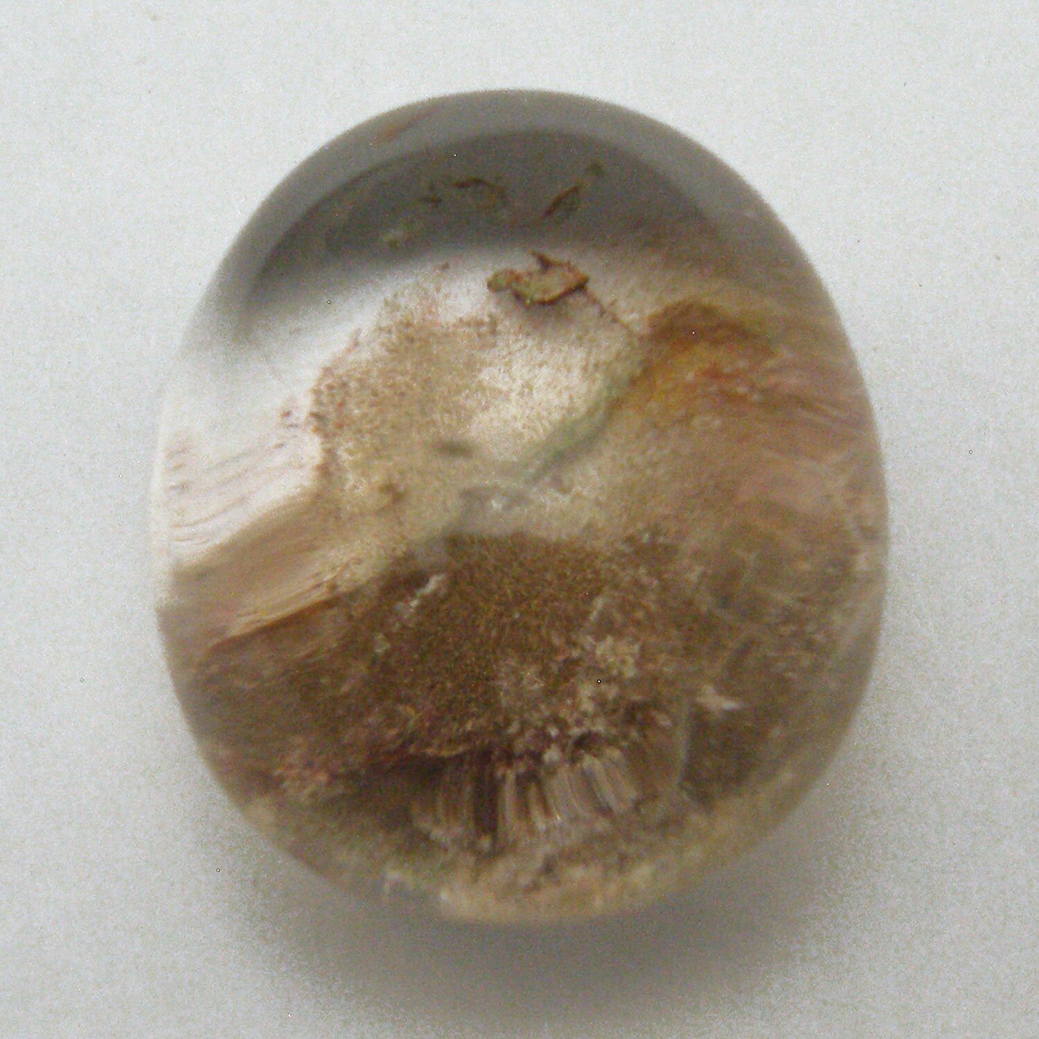 Dendrite Quartz Natural Earth-Mined Mined in Brazil oval | Etsy