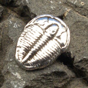 Trilobite Fossil Hat Tack, Lapel Pin, Recycled Sterling Silver ...