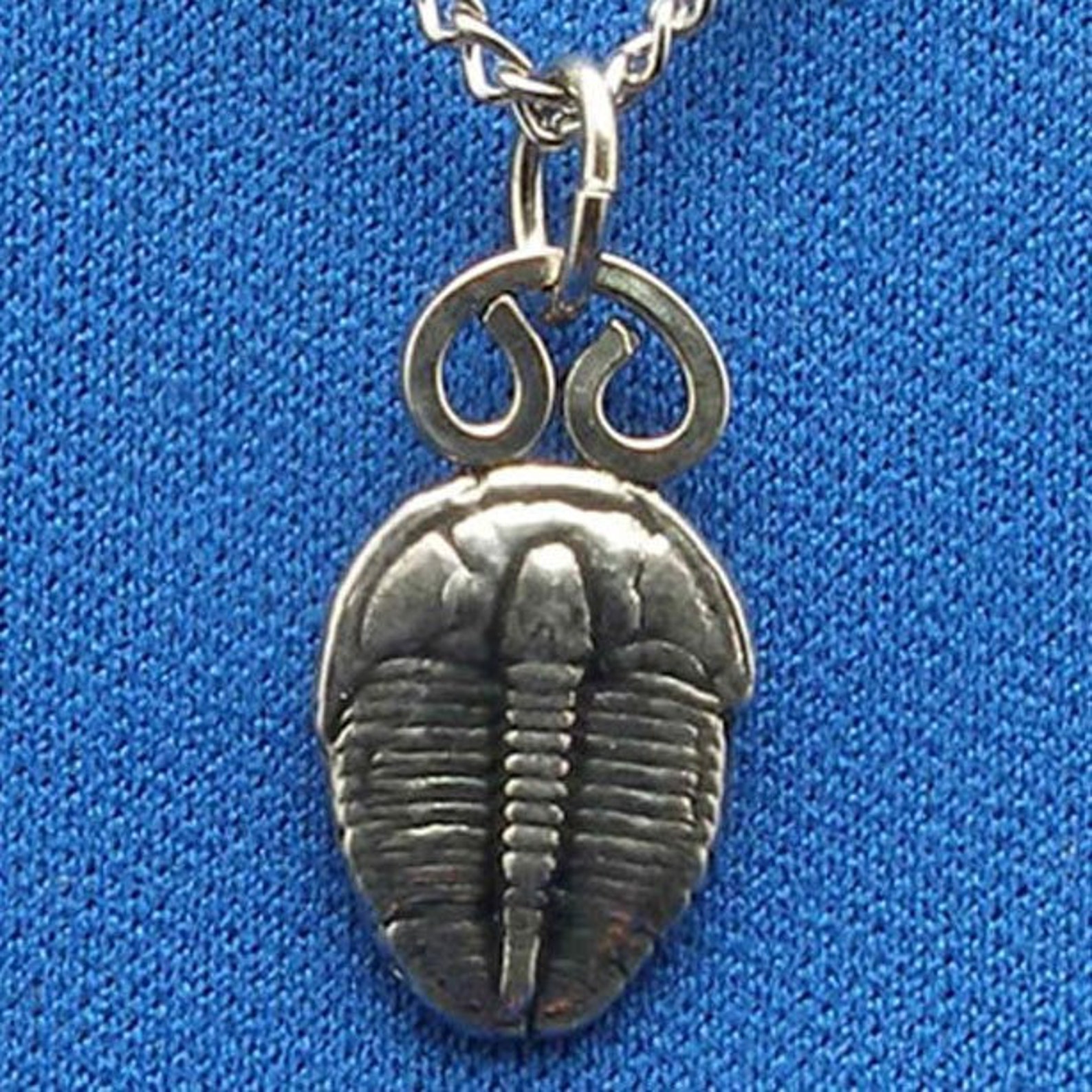Trilobite Pendant Hand Crafted Recycled Sterling Silver - Etsy