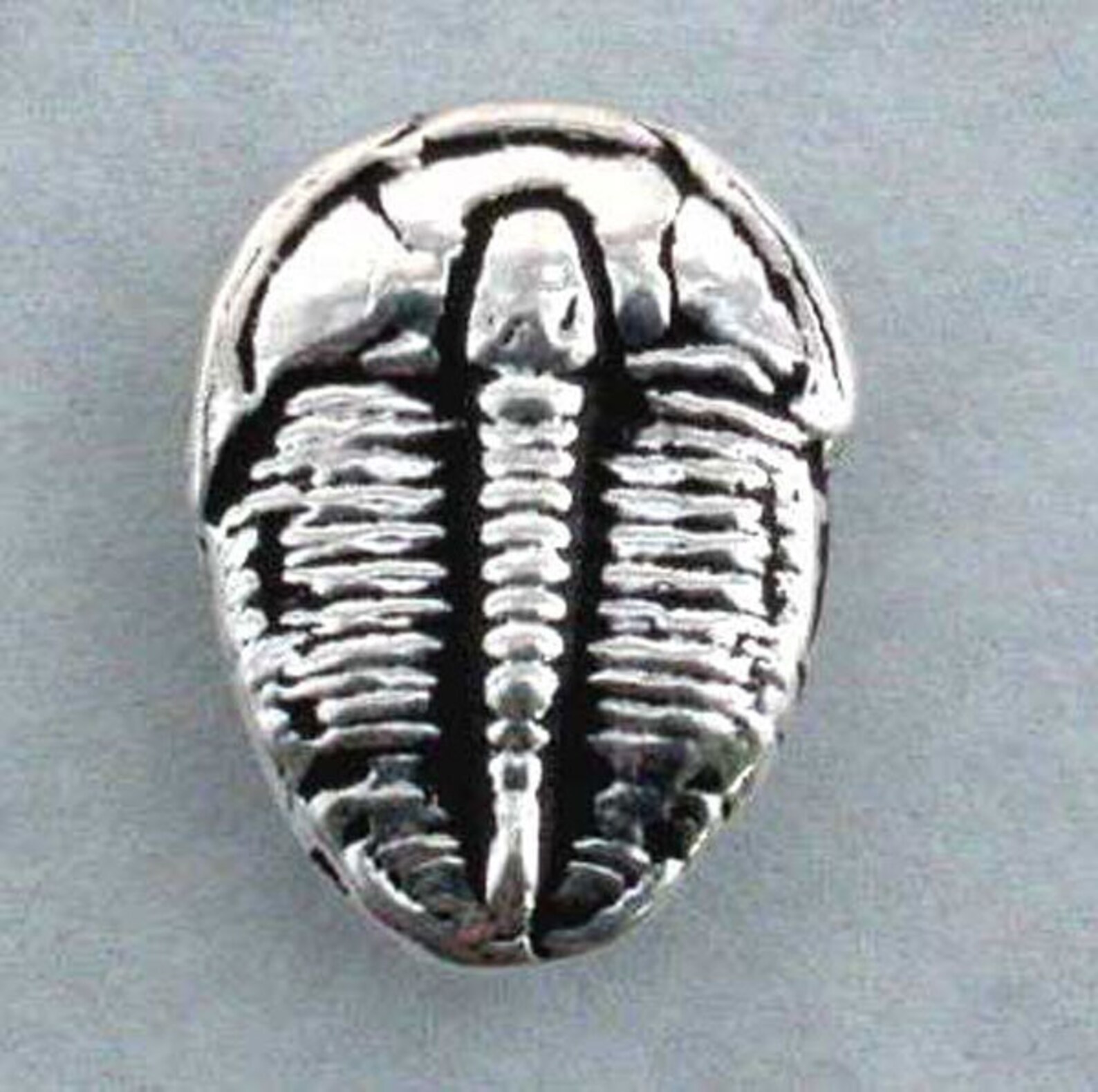 Trilobite Fossil Hat Tack Lapel Pin Recycled Sterling - Etsy