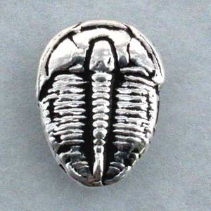 Trilobite Fossil Hat Tack, Lapel Pin, Recycled Sterling Silver ...