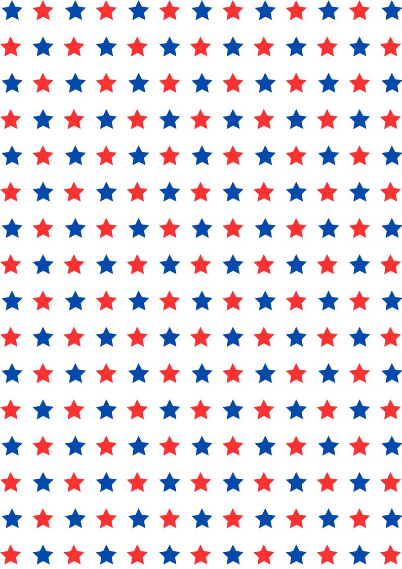 Bill of Rights Matching Game: US History Printable (PDF Download - Etsy