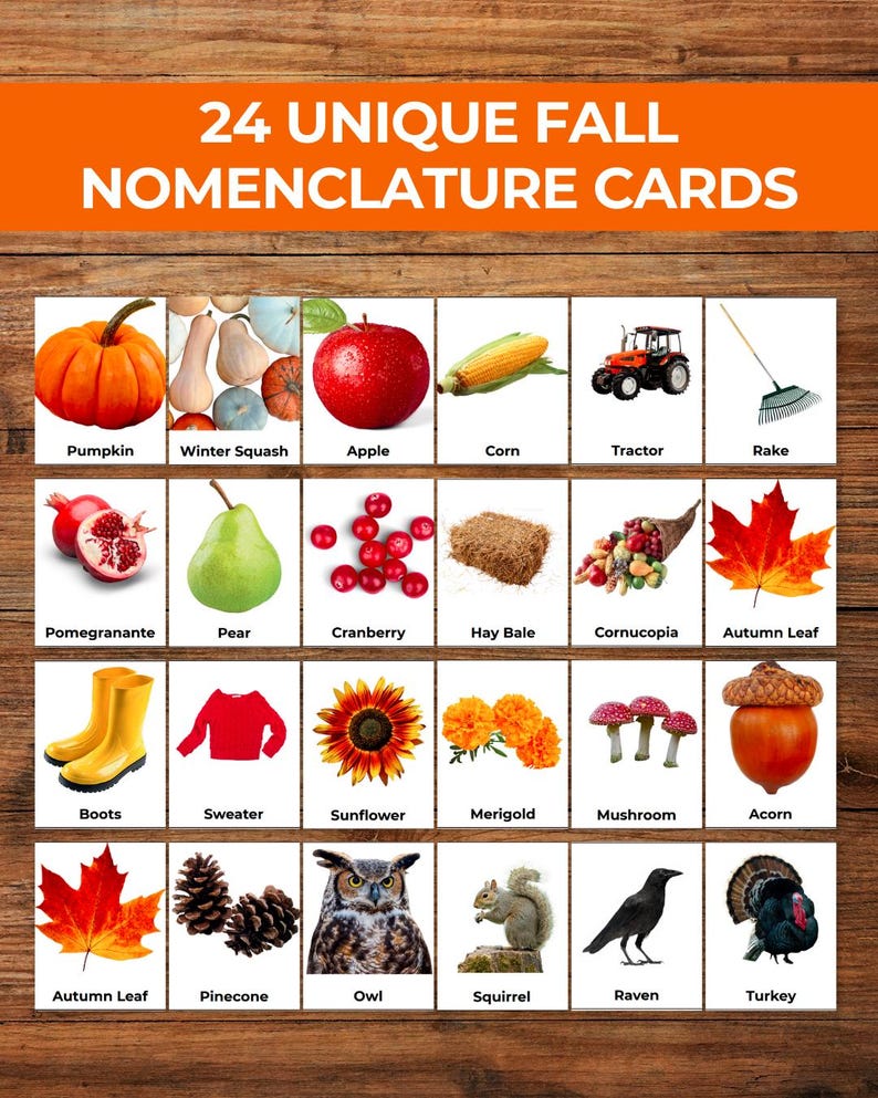 Fall Montessori 3 - Part Cards Printable Autumn Nomenclature Cards Fall ...