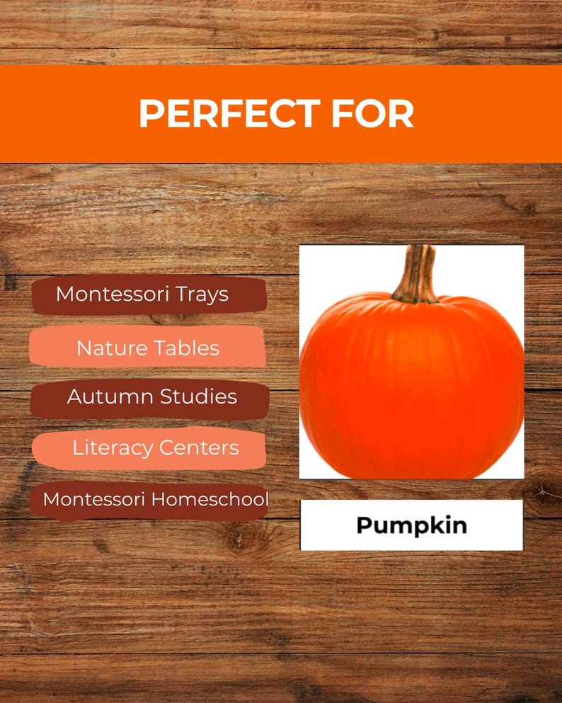 Fall Montessori 3 - Part Cards Printable Autumn Nomenclature Cards Fall ...
