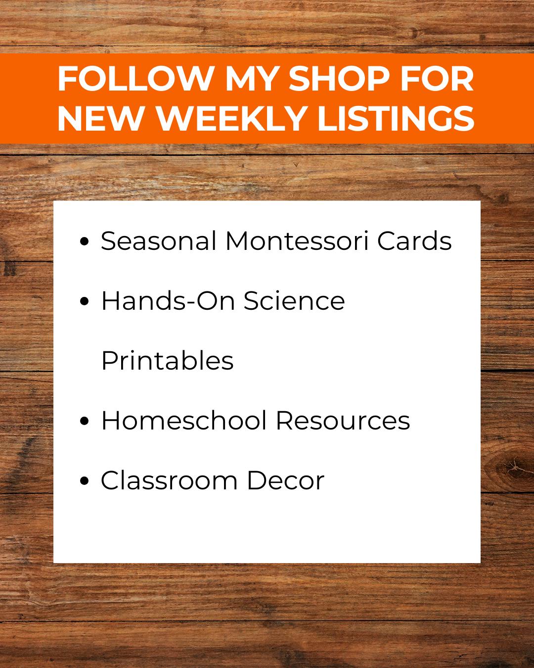 Fall Montessori 3 - Part Cards Printable Autumn Nomenclature Cards Fall ...