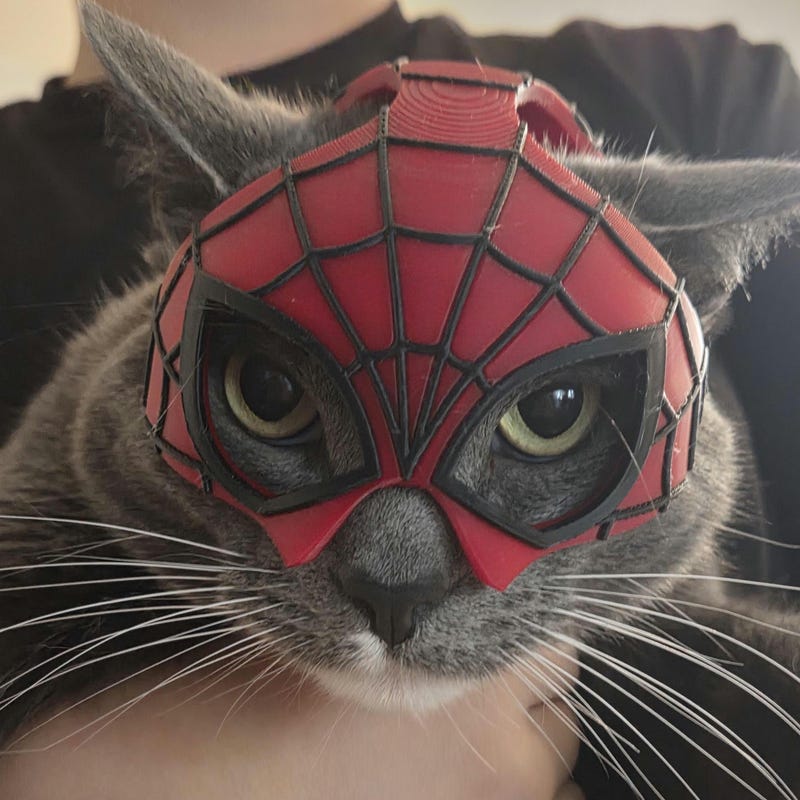 Cat Mask - Etsy