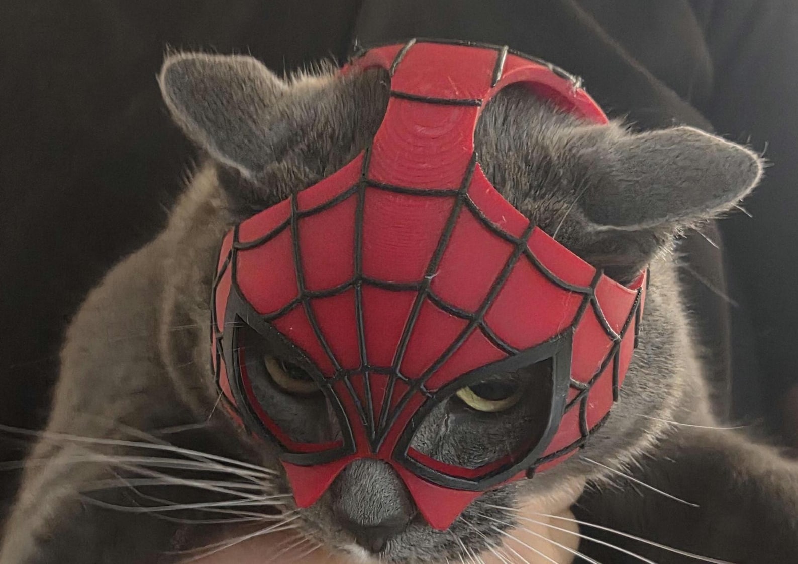 Spidey Cat Mask: 3D Printed Superhero Costume - Feline Cosplay - Etsy