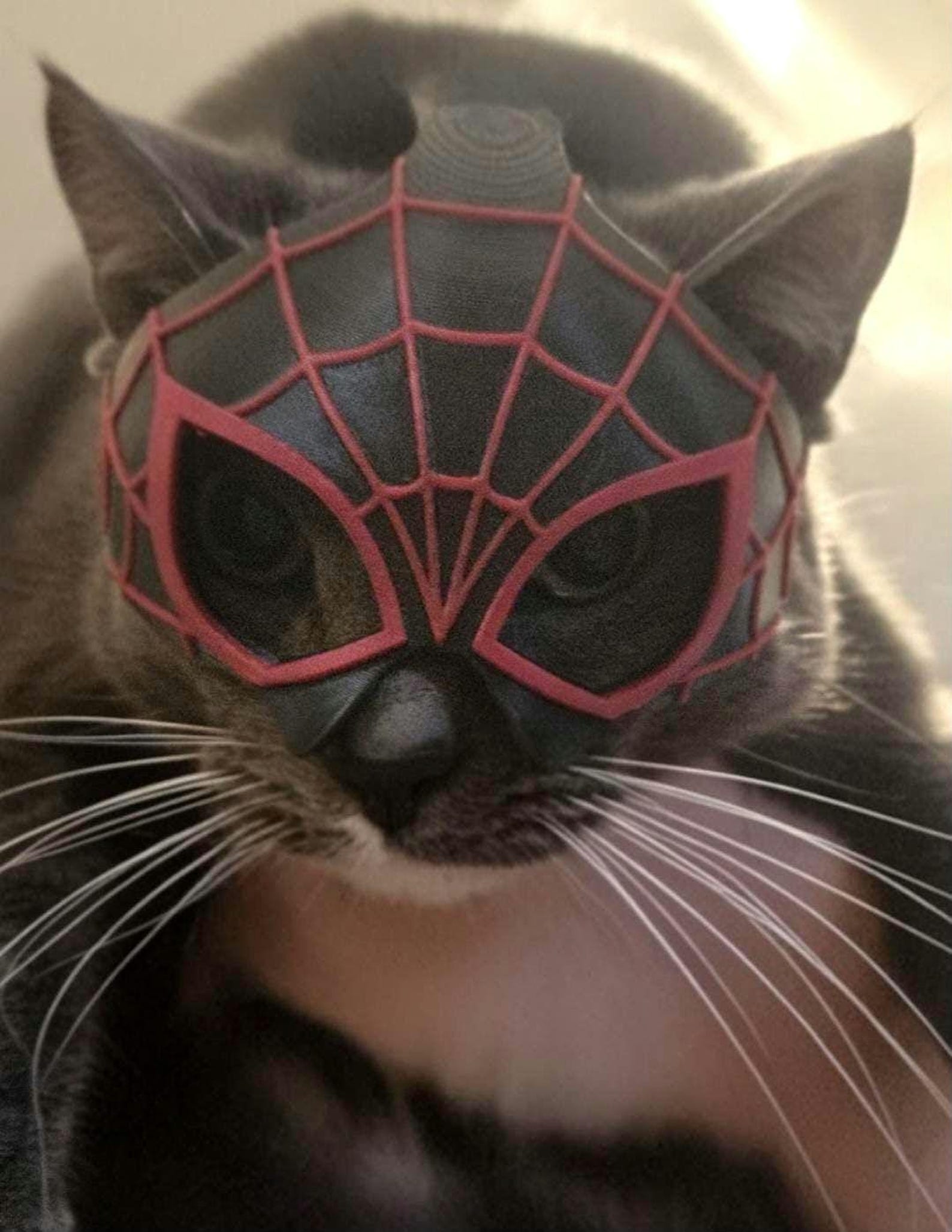 Spidey Miles Morales Cat Mask: 3D Printed Superhero Costume - Etsy