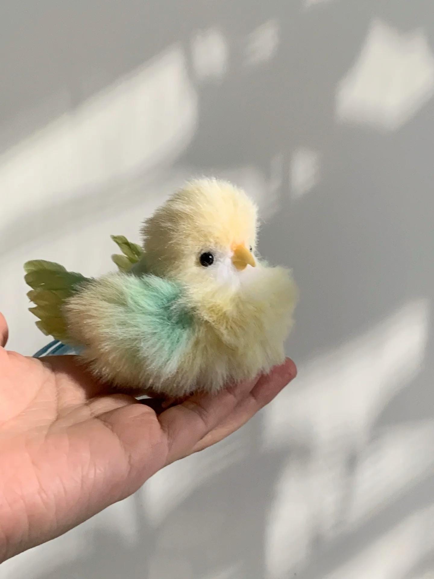 Custom Parrot Plush Toy Replicas | Photo-to-plush Parrots | Handmade ...