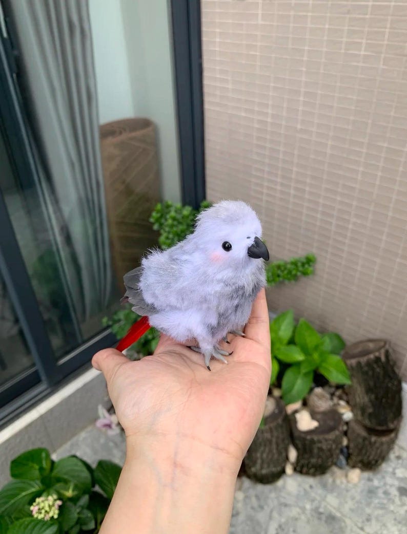 Custom Parrot Plush Toy Replicas | Photo-to-plush Parrots | Handmade ...