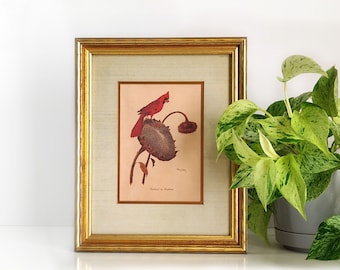 Ray Harm Bird Prints - Etsy Australia