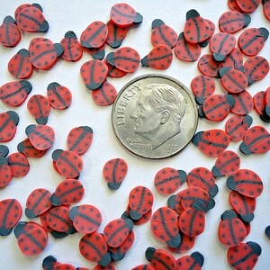 Tiny Ladybugs, Polymer Clay Slices, for Resin Crafts, Resin Filler, 10g ...