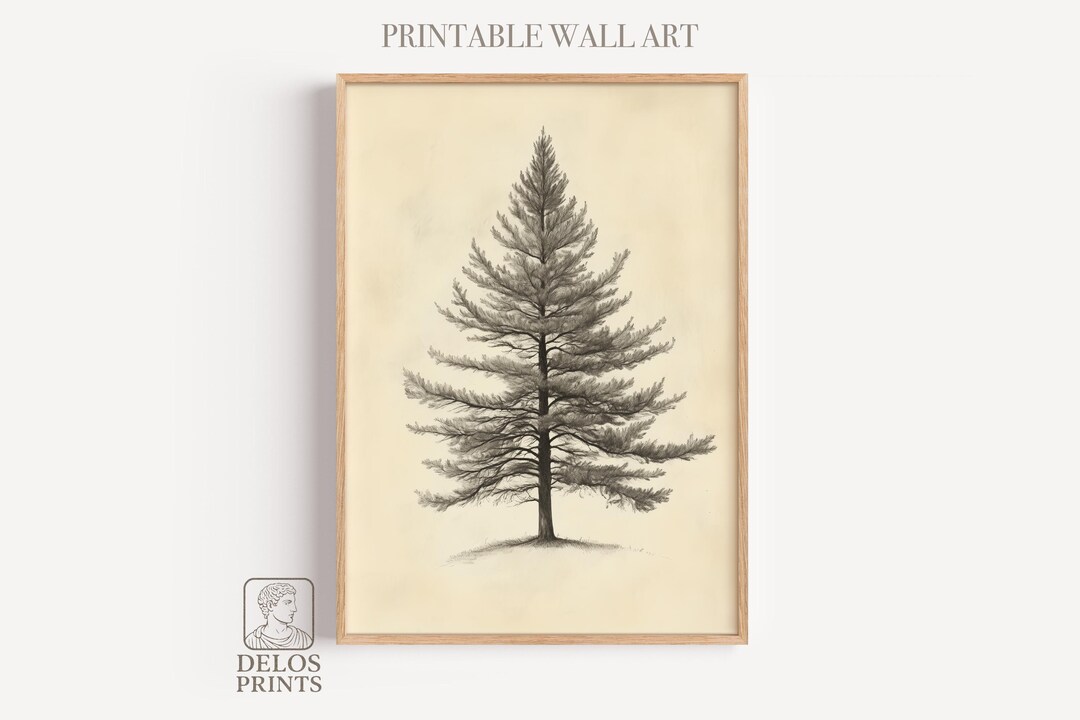 Lone Pine Tree - PRINTABLE Minimalist Tree Sketch Wall Art, Vintage ...
