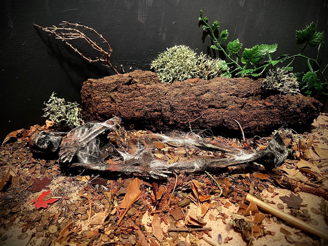 1/12 Scale Skeleton With Rotting Flesh and Cobwebs for Dolls House ...
