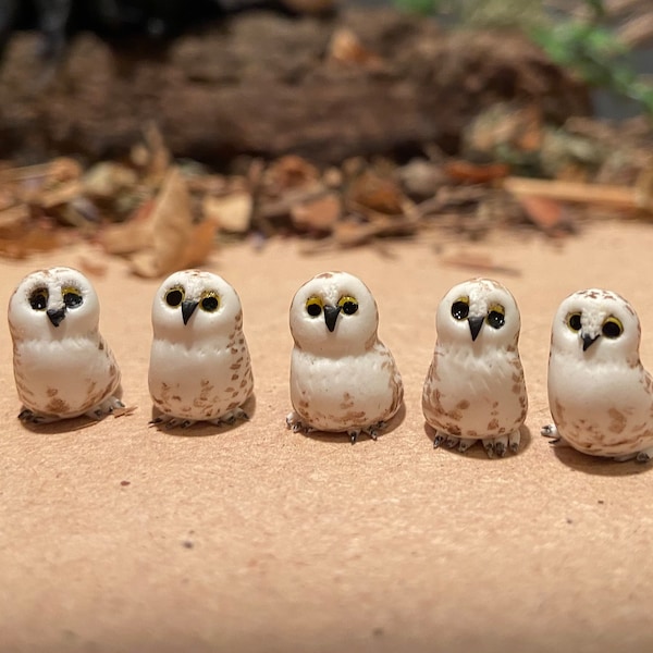 Miniature Owl - Etsy