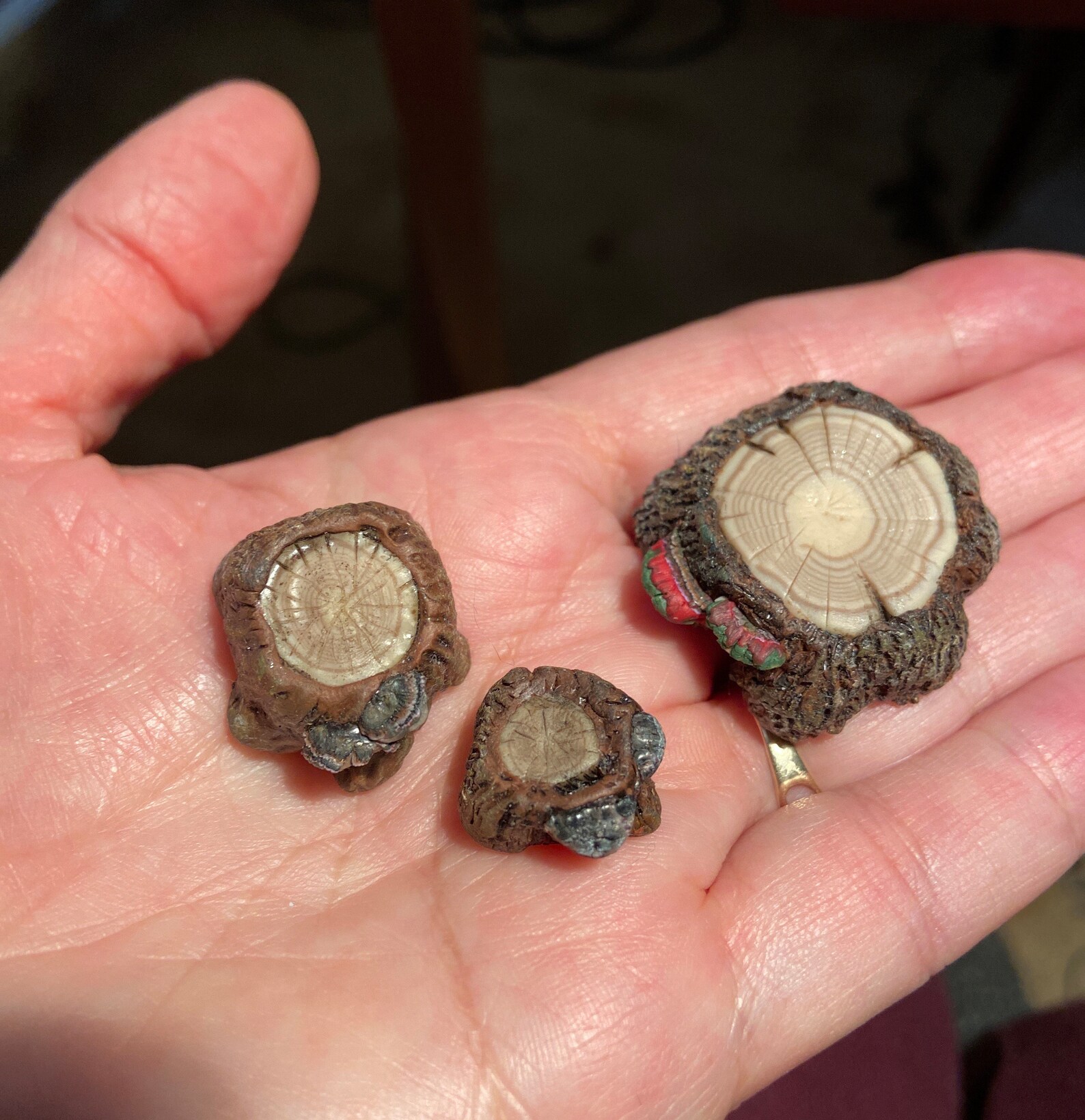 Tree Stumps Dollhouse 12th or 1/24 Scale Hand Scuplted - Etsy