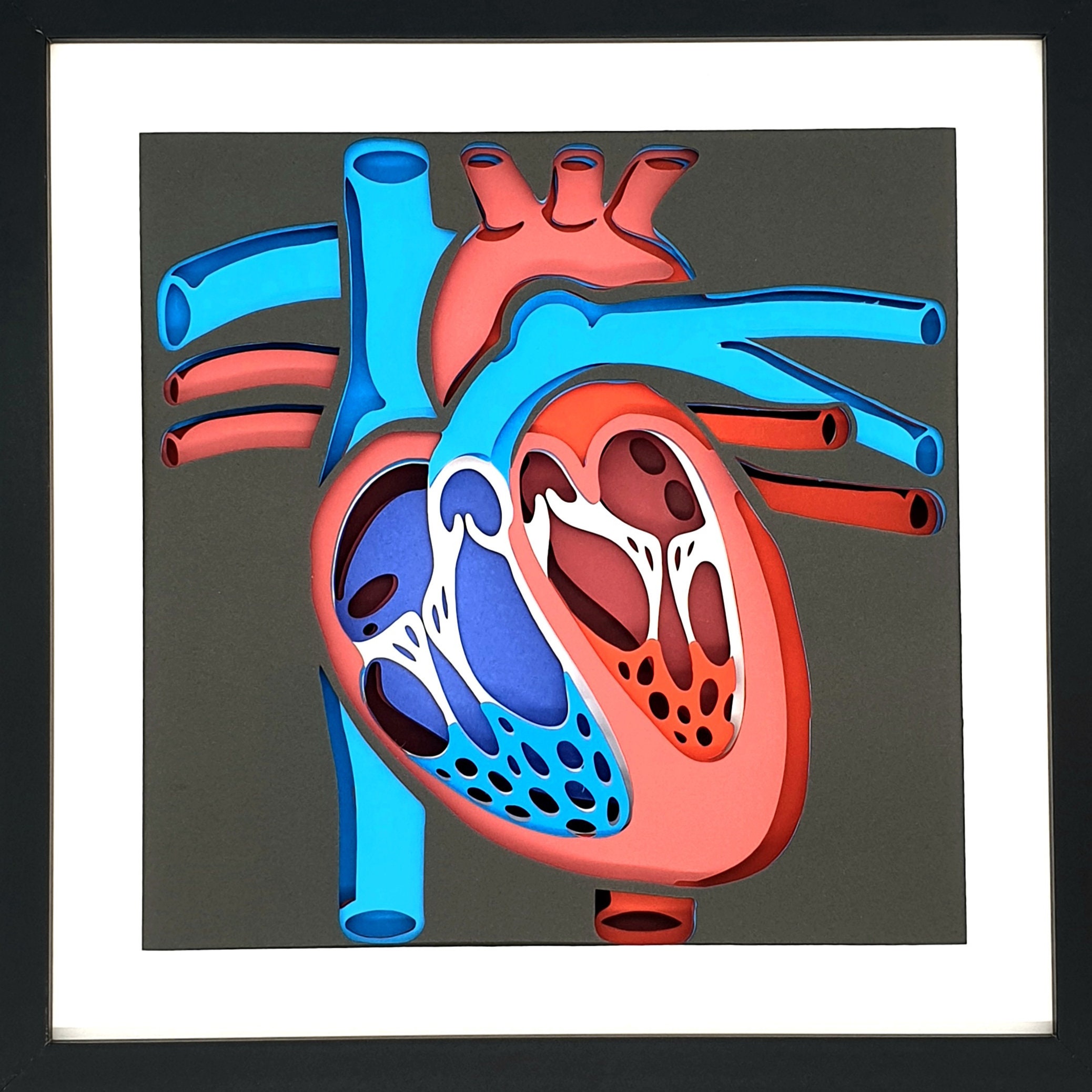 Body Anatomy Series SVG/PNG Cut Files - Etsy Australia