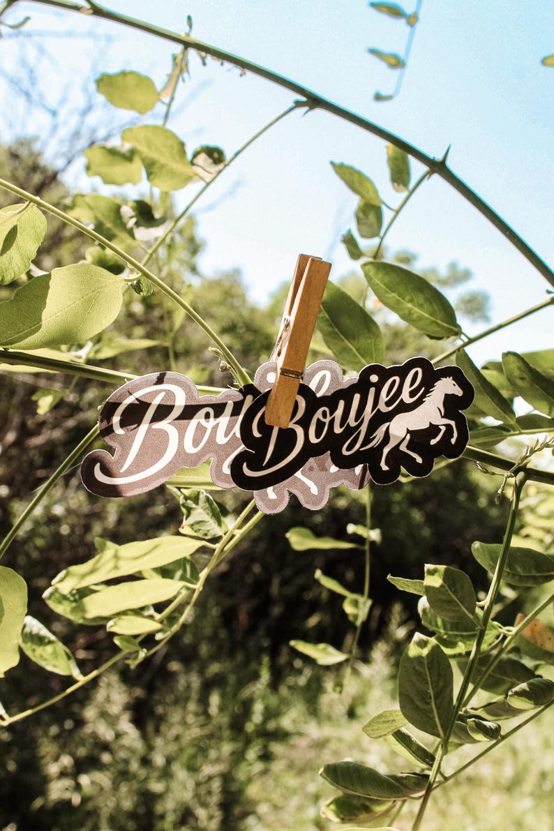 Boujee Western Horse Sticker – Cowgirl Vinyl Decal - Etsy