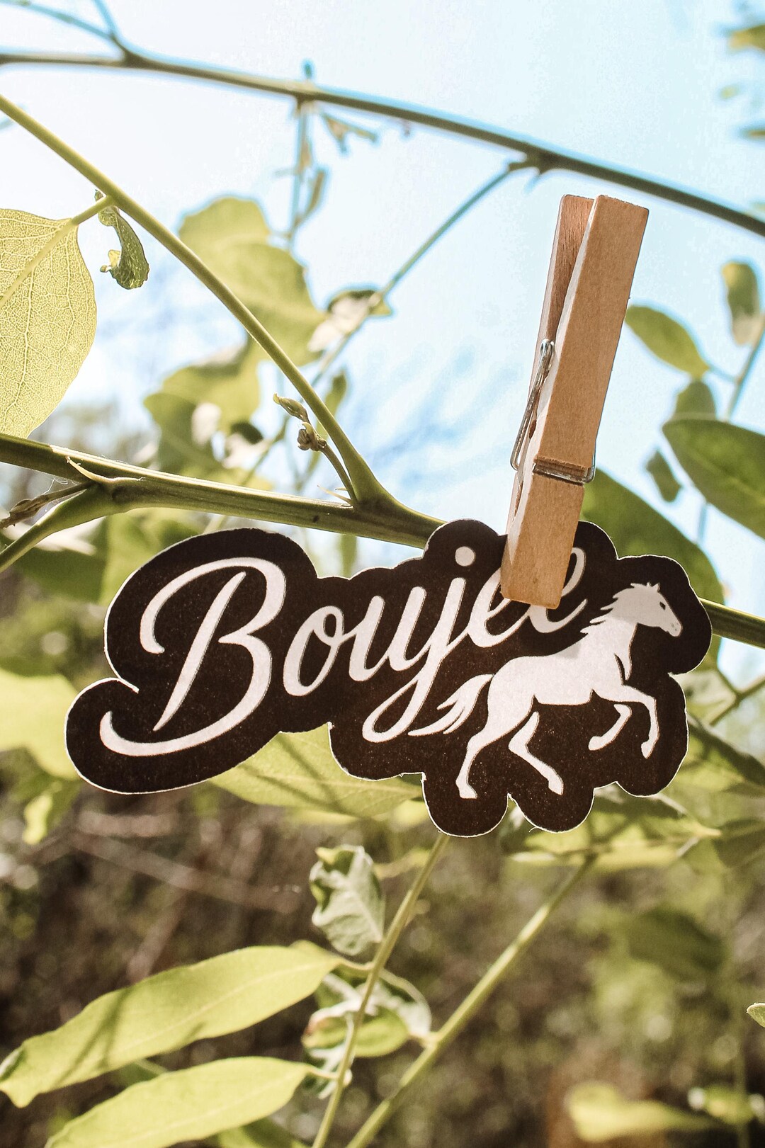 Boujee Western Horse Sticker – Cowgirl Vinyl Decal - Etsy