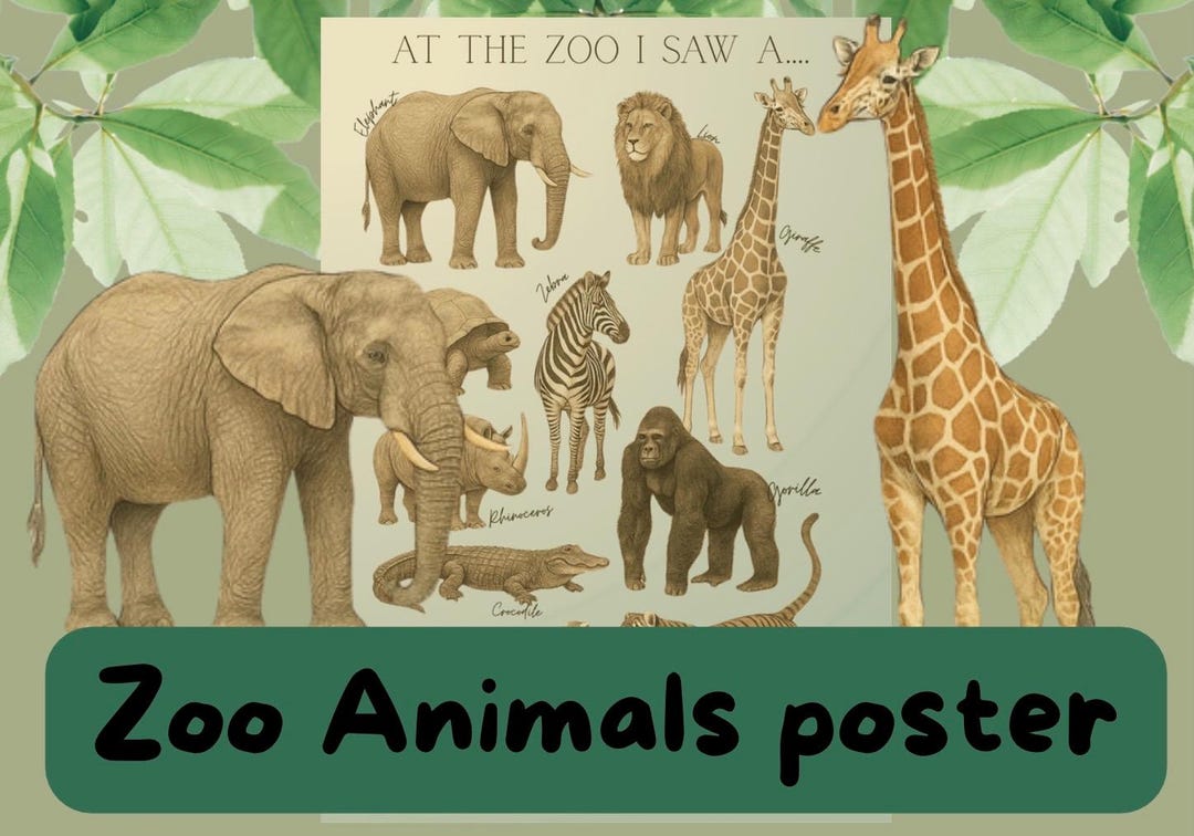 Zoo Animal Printable Poster - Etsy