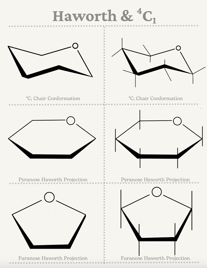 Organic Chemistry Structure Templates Editable Sticker Book Goodnotes ...