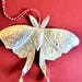 Aluminum Luna Moth Ornament - Etsy