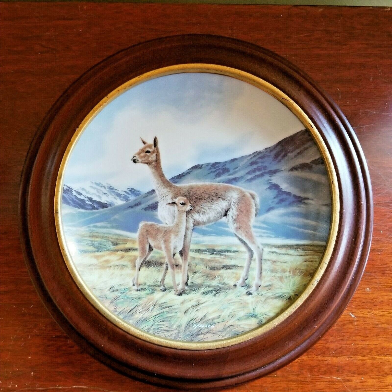 The Vicuna Bradford Exchange 9th Issue Last of Their Kind 1991 Framed Bradex - Etsy