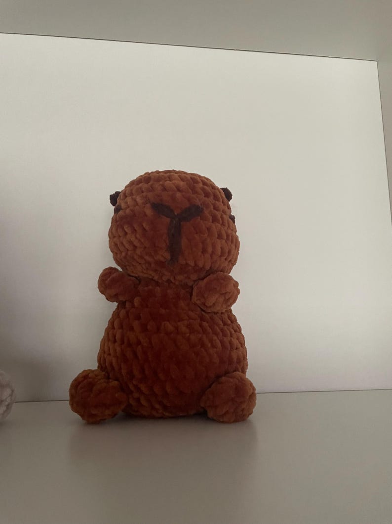 Handmade Crochet Capybara Plushie, Ready-made Amigurumi Capybara Plush ...