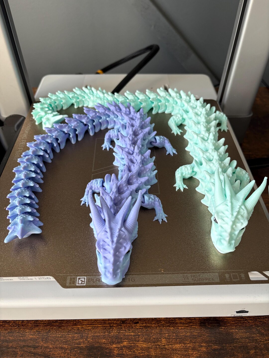 Shadow Coil Dragon - Etsy