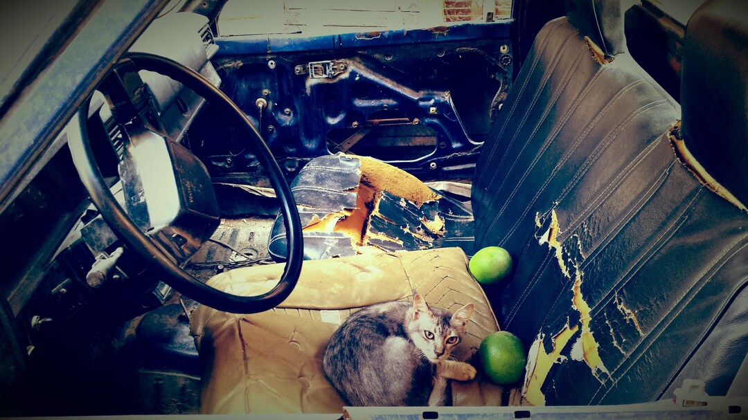 Life on the Streets of Fowa, Egypt Photo for Canvas Print - Etsy