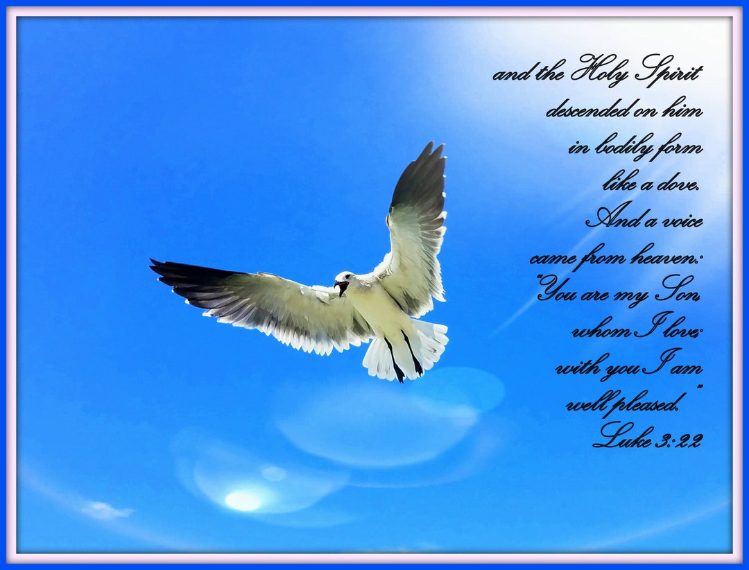 White Dove Sign of Peace and Spirituality, Scripture -original ...