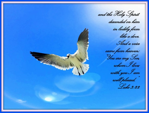 White Dove Sign