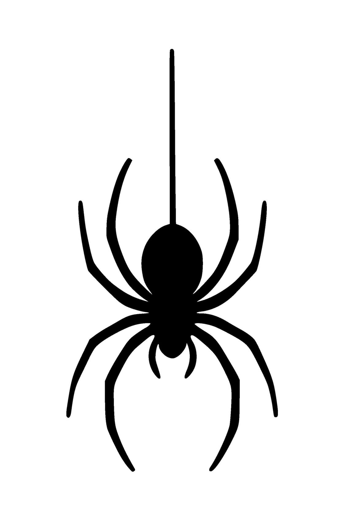 Spider SVG Cut File | Halloween Spider Clipart | Cricut & Silhouette ...