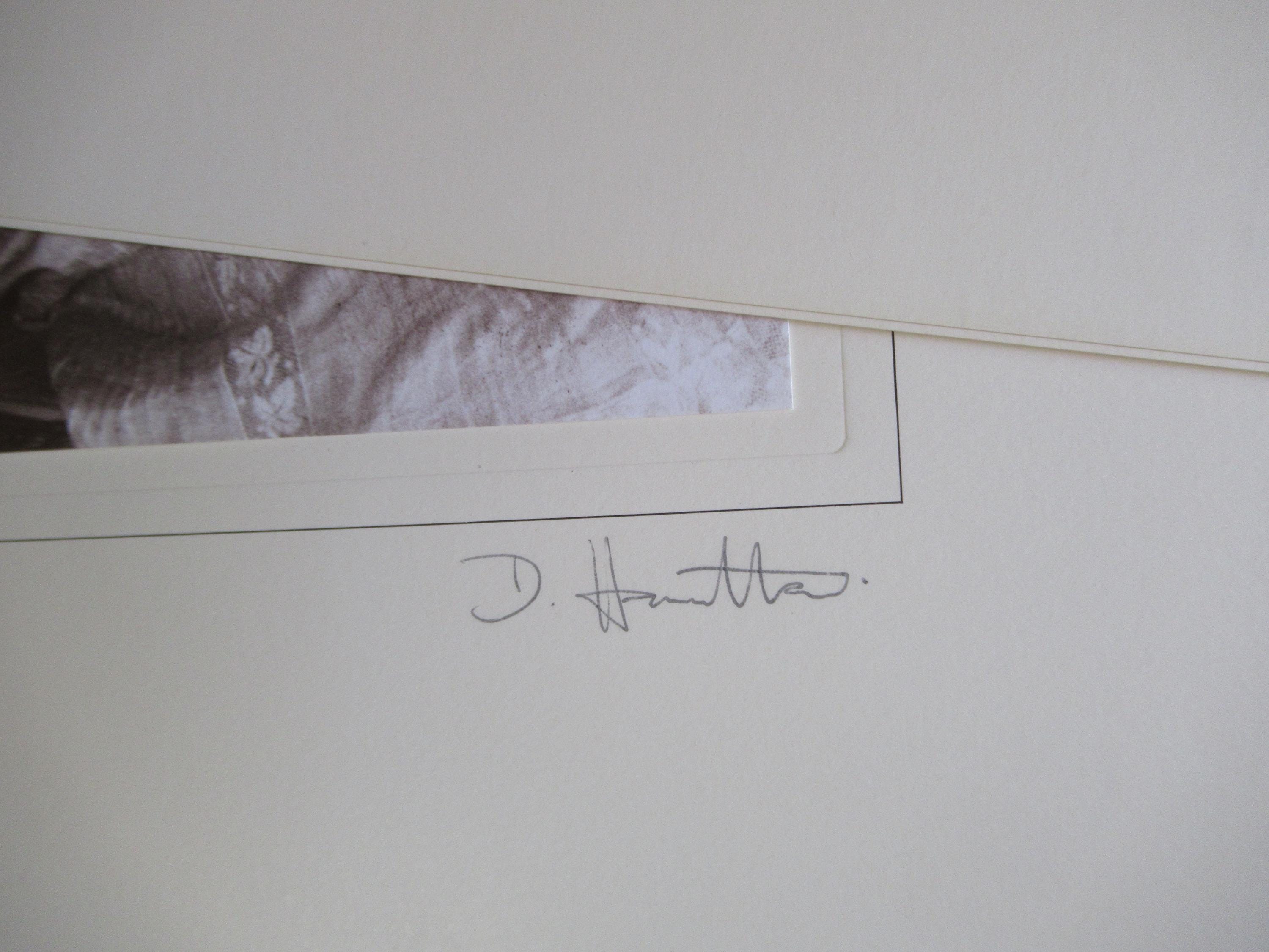David Hamilton Souvenirs Photo Collection Book - Etsy Canada