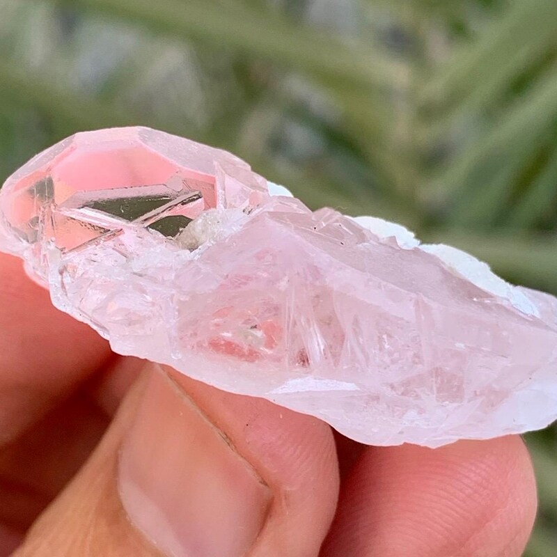 Raw Morganite - Etsy
