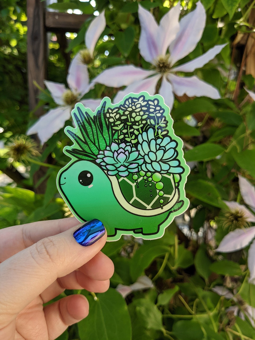 Succulent Turtle Biome Sticker - Etsy