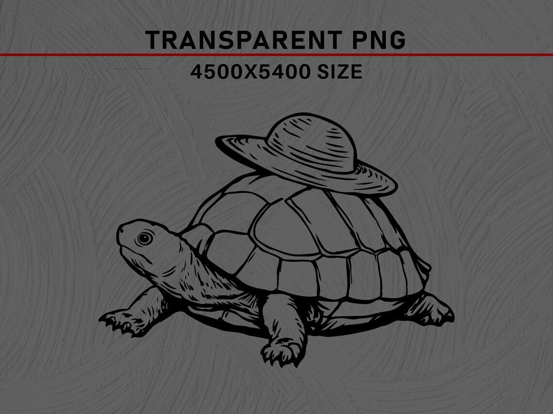 Sea Turtle SVG Bundle, Coastal Clipart, Cricut & Decal Designs - Etsy