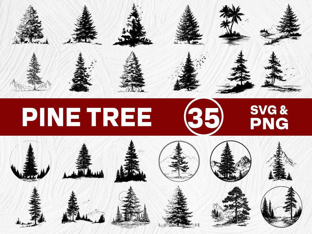 Pine Tree SVG PNG Bundle, Evergreen Forest Clipart, Cricut Cut Files - Etsy