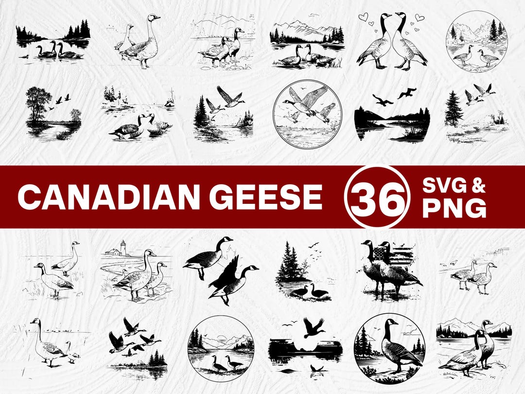 Canadian Geese Silhouette SVG PNG Bundle, Wild Bird Clipart, Flying ...