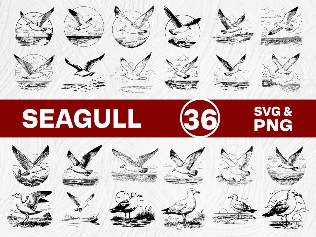 Seagull SVG PNG Bundle, Coastal Bird Clipart, Cricut Cut Files - Etsy