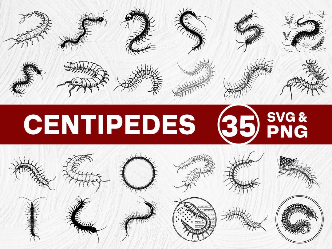 Centipedes Silhouette SVG PNG Bundle, Insect Clipart, Creepy Bug Cut ...