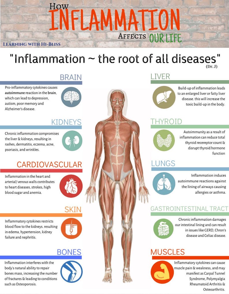 Inflammation, Tissue Repair, and Wound Healing - Etsy