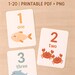 Printable Animal Number Flashcards 1-20 | Cute Zoo Animals Count Cards ...