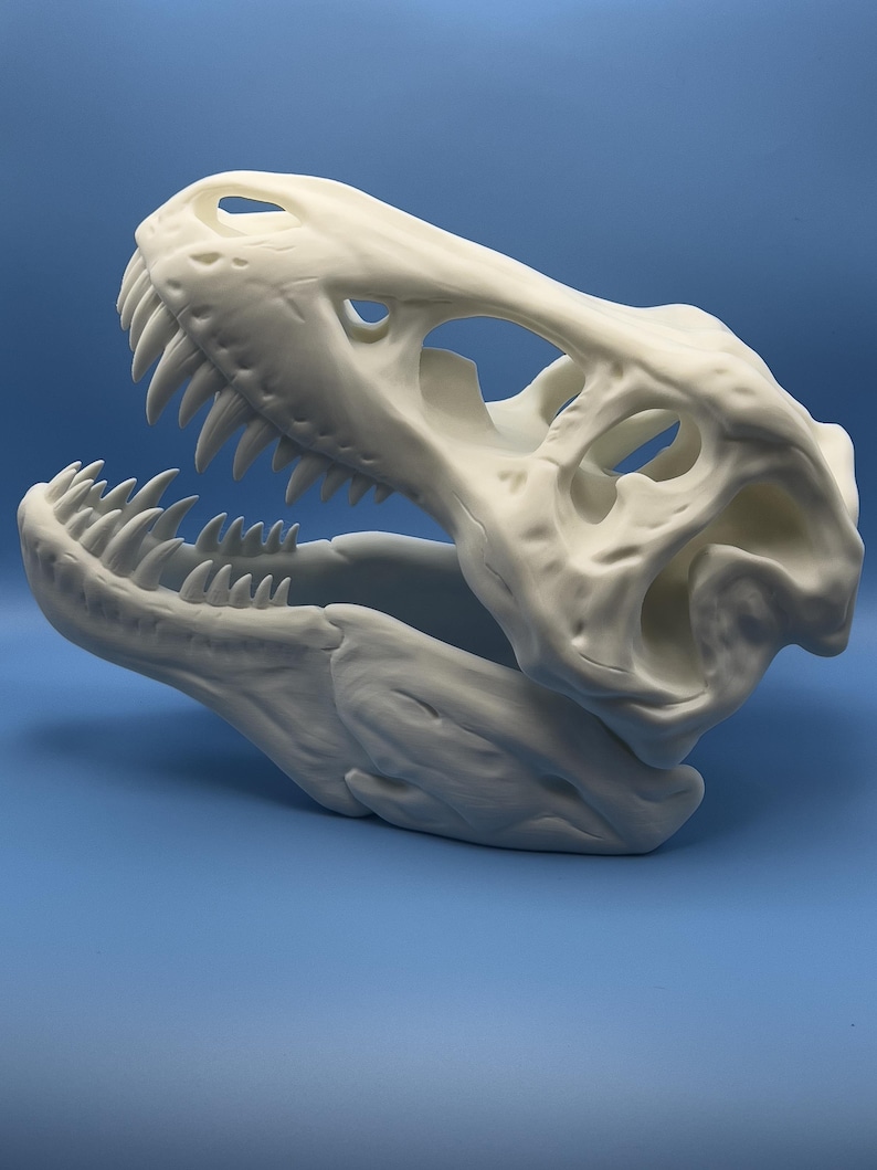 T. Rex Skull – 3D Printed Dinosaur Fossil Replica | Paleontology Gift ...